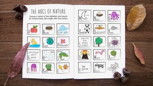 Printable Nature Journal for Kids - The Printables Fairy
