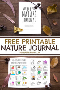 Printable Nature Journal for Kids - The Printables Fairy