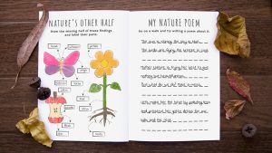 Printable Nature Journal for Kids - The Printables Fairy
