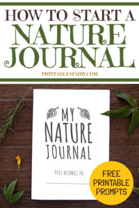 Printable Nature Journal for Kids - The Printables Fairy