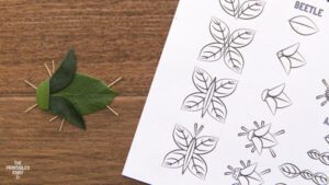 Leaf Bugs Craft For Kids - The Printables Fairy