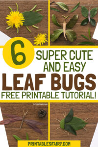 Leaf Bugs Craft For Kids - The Printables Fairy