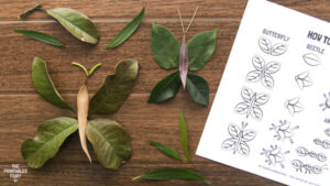 Leaf Bugs Craft For Kids - The Printables Fairy