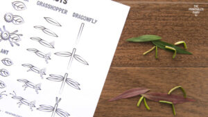 Leaf Bugs Craft For Kids - The Printables Fairy