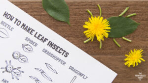 Leaf Bugs Craft For Kids - The Printables Fairy